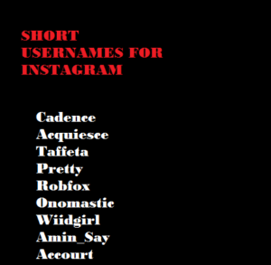 300+ Short Usernames: Your Gateway To Simplicity (2023)! | Userteamnames