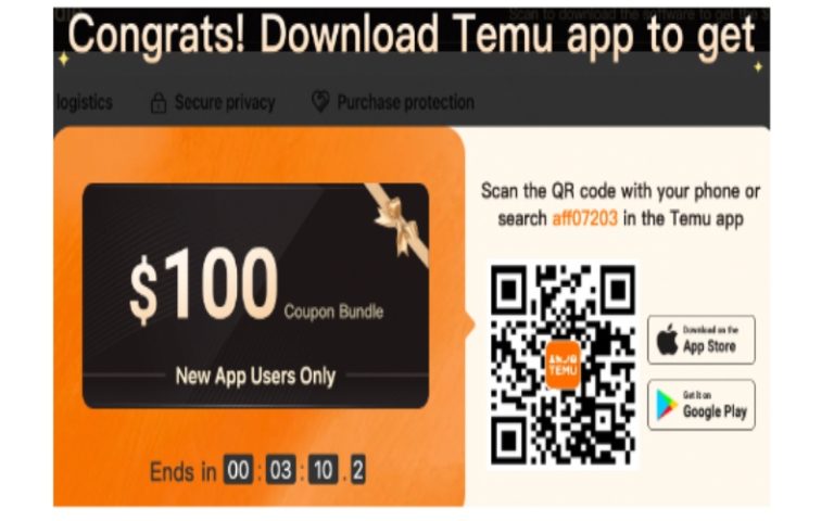 TEMU Affiliate Program 2024: Earn Up To $100,000 A Month! | Userteamnames